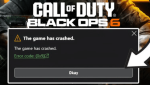 How To Fix Black Ops 6 0x9 Error? - MitchCactus